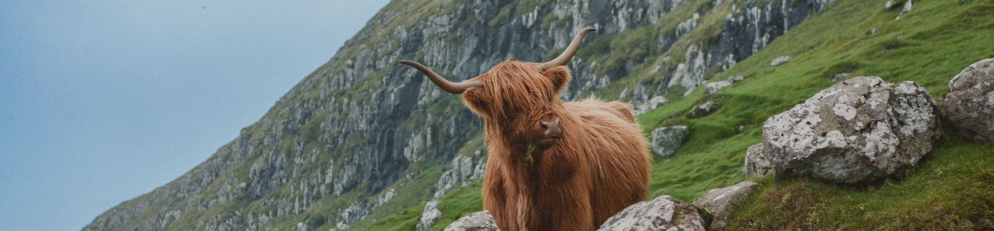 Fauna Collection | Vegan Outfitters